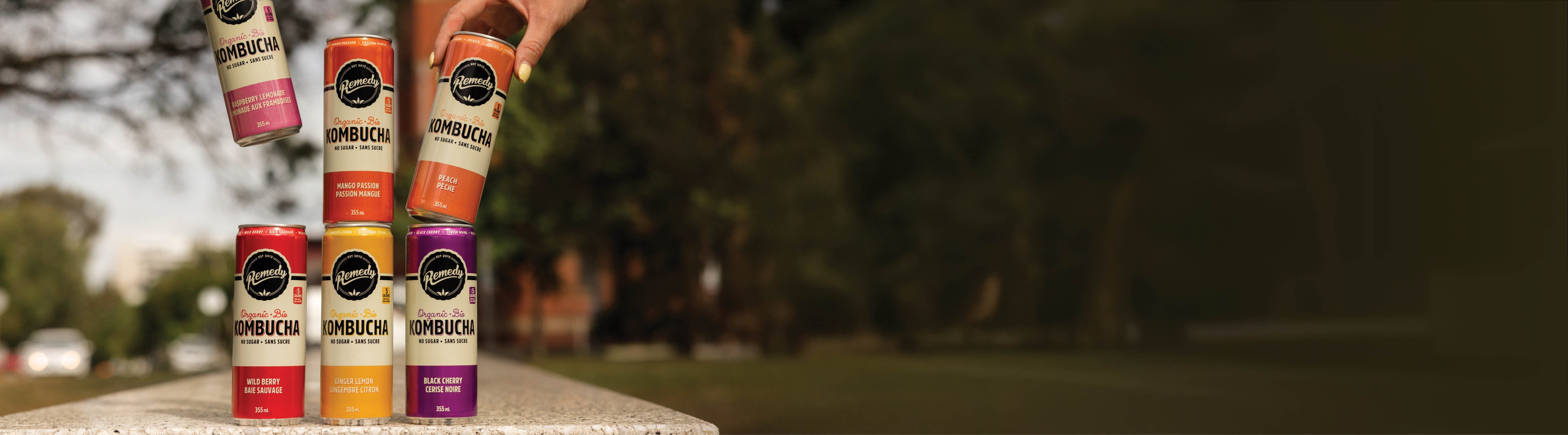 Variety Packs CA – Liquid Remedy | No Sugar and Live Cultured