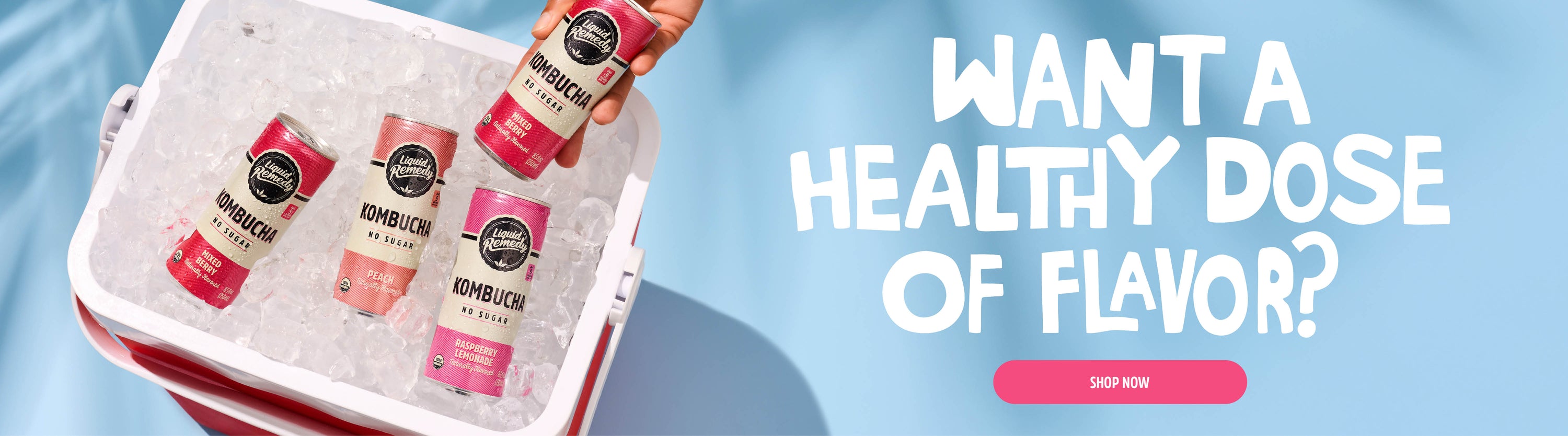 Liquid Remedy | No Sugar and Live Cultured