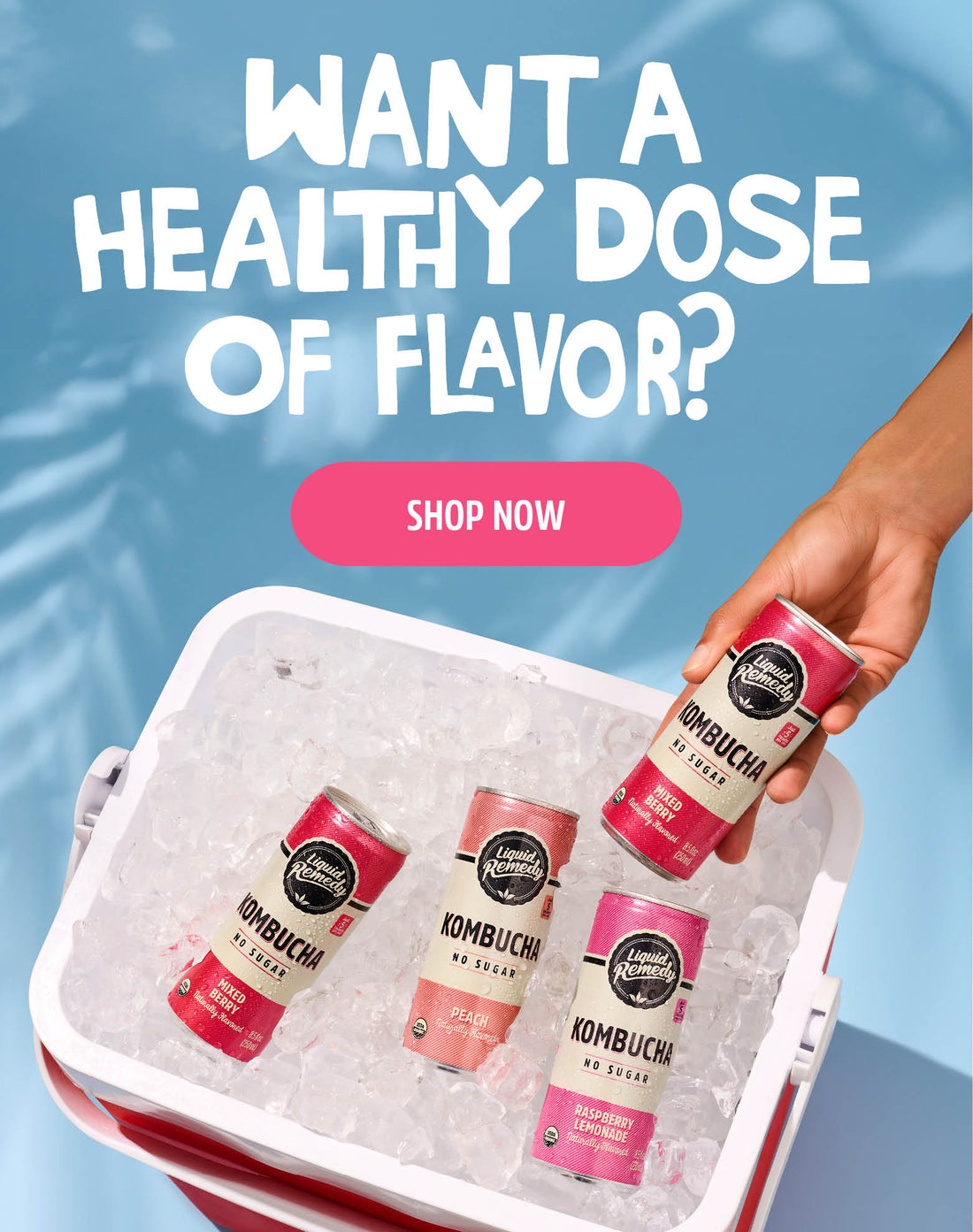 Liquid Remedy | No Sugar and Live Cultured